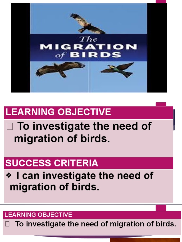 Migration | PDF | Bird Migration | Birds