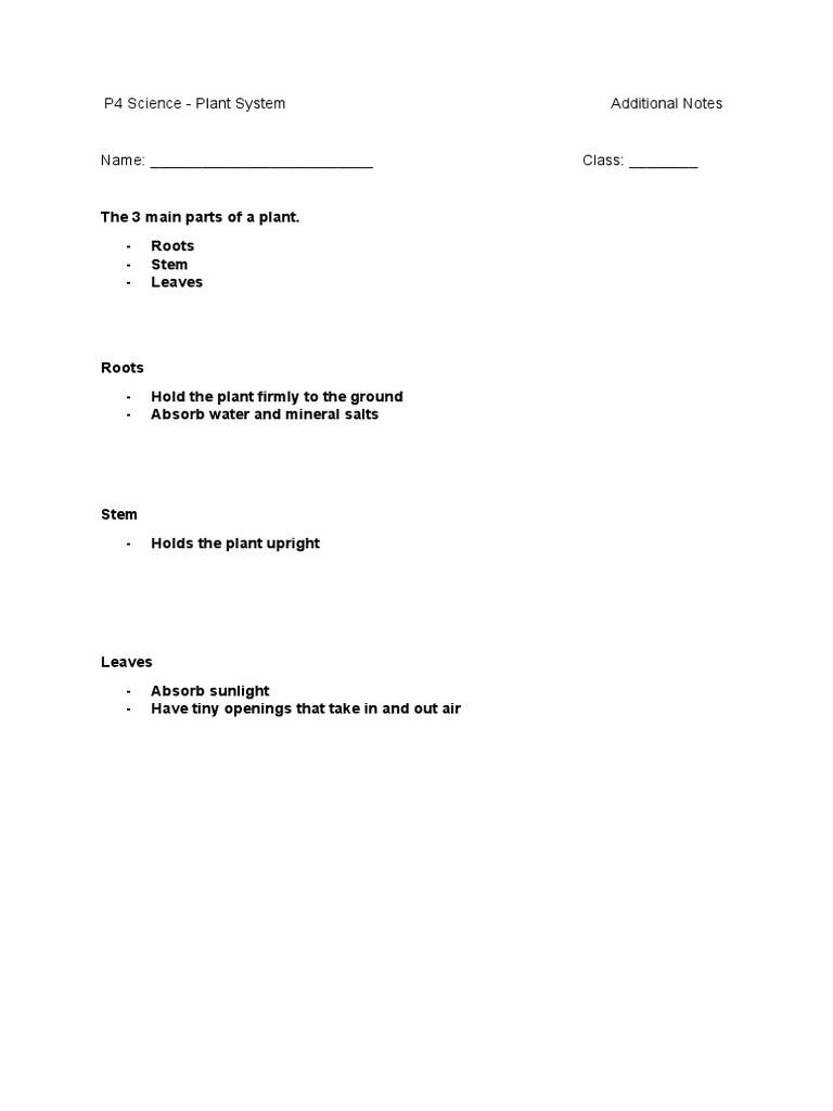 P4 Science Additional Notes (Plant System) | PDF