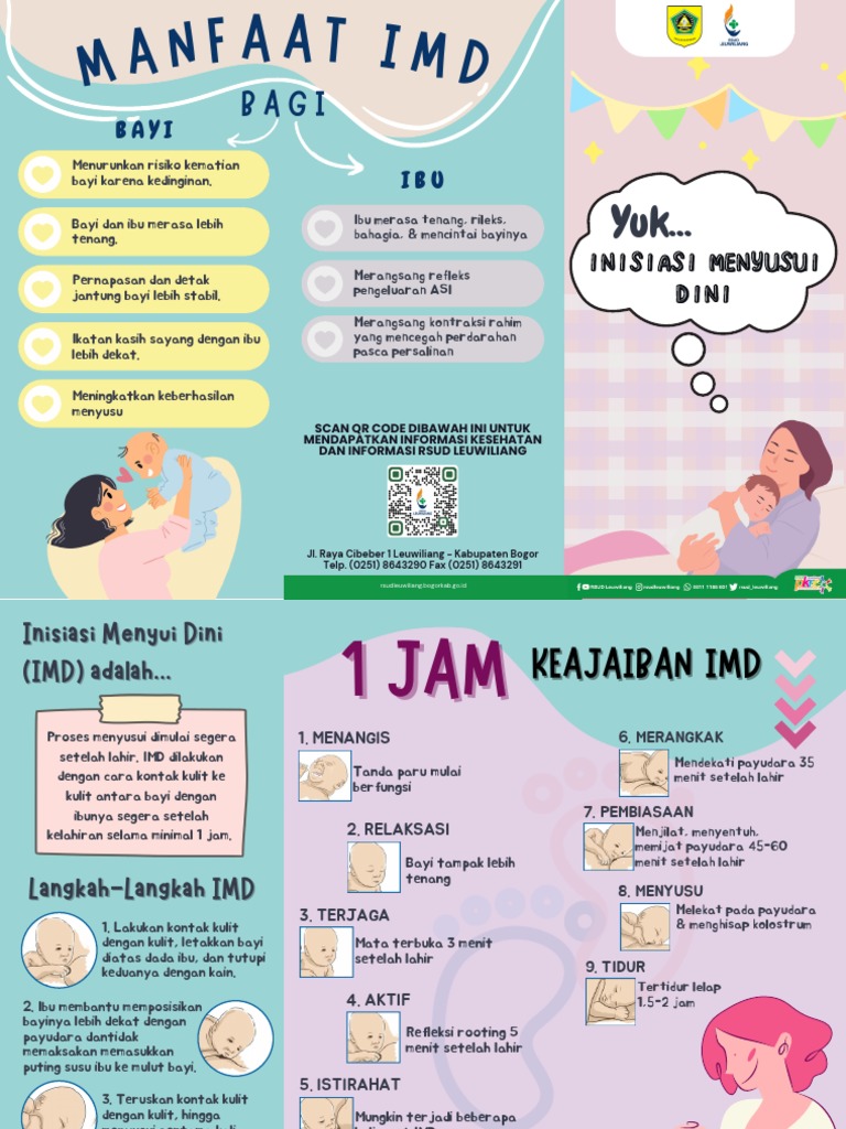 Leaflet - IMD (297 × 210 MM) | PDF