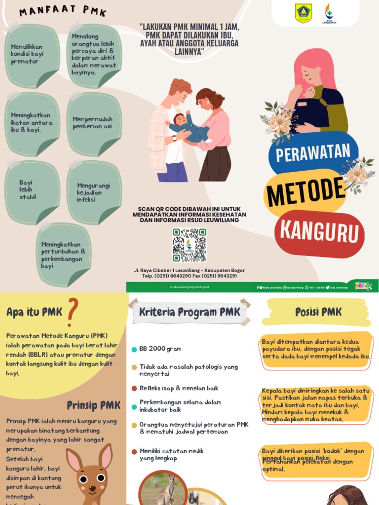 Leaflet - PMK PDF | PDF