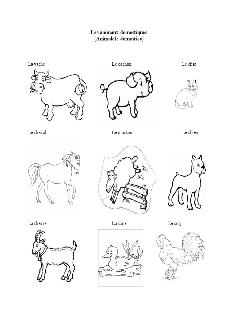 0 Les Animaux Domestiques | PDF