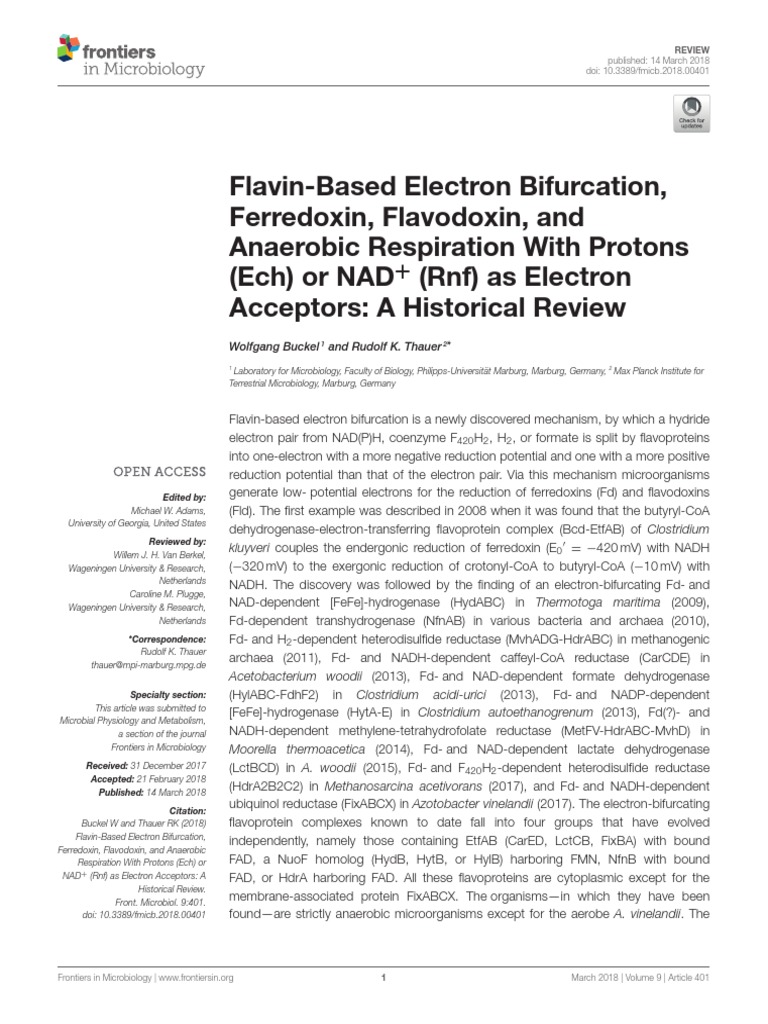 Buckel2018-Flavin Based Electron | PDF | Electron Transport Chain | Nicotinamide Adenine ...