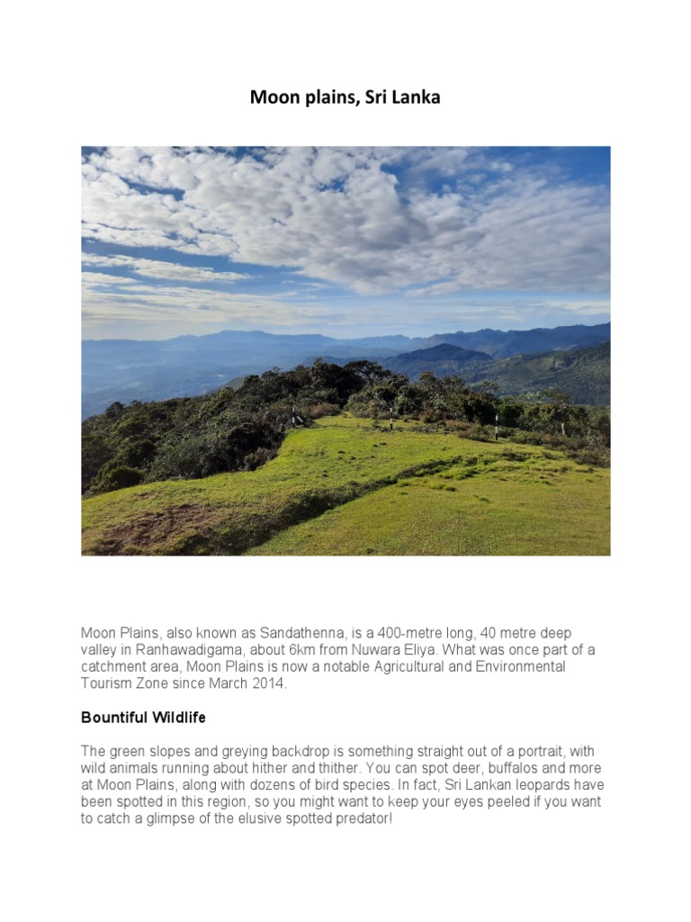 Moon Plains: Wildlife & Views | PDF