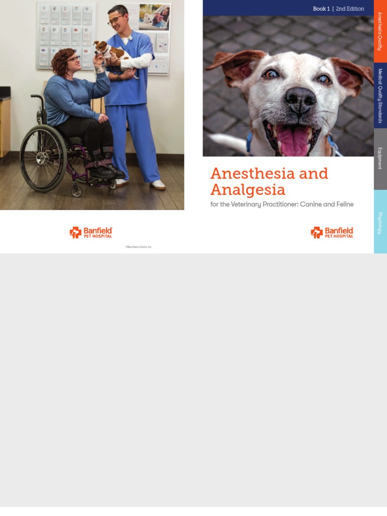 Anesthesia and Analgesia Book 1 PDF | PDF | Anesthesia | Patient Safety