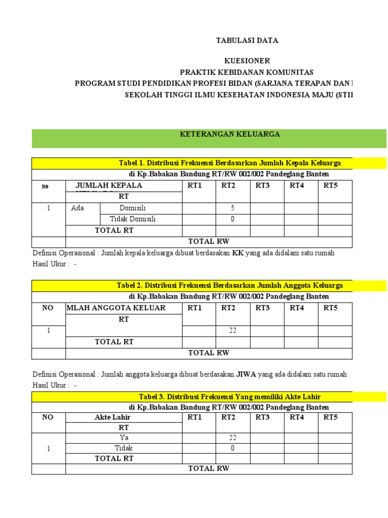 Tabulasi Individu | PDF