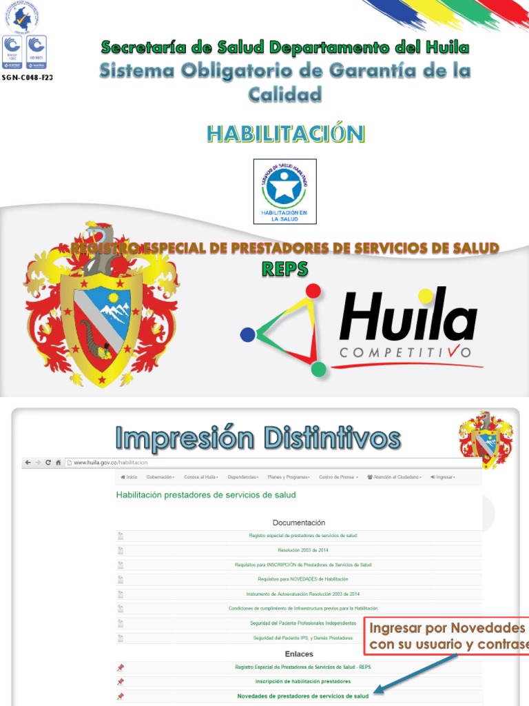 Pasos para SOLICITAR e IMPRIMIR DISTINTIVOS | PDF