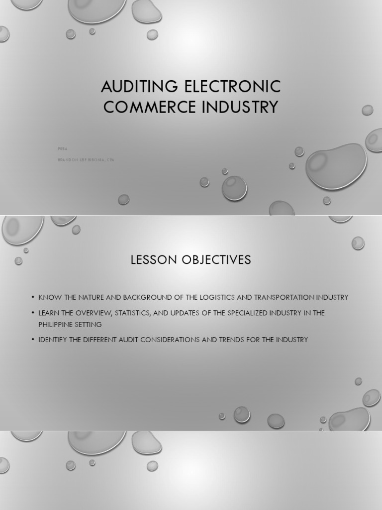 Audit of E Commerce Industry | Download Free PDF | E Commerce ...