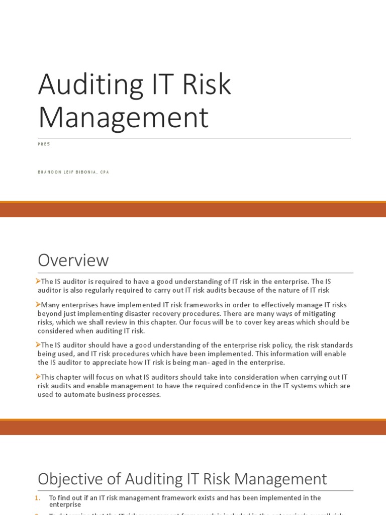 IT Risk Management Audit Guide | PDF
