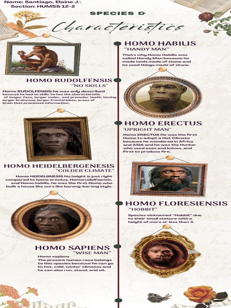 Beige and Brown Scrapbook Museum of History Infographic | PDF | Homo ...