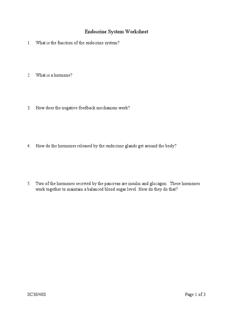 Endocrine System Worksheet | PDF | Endocrine System | Organ (Anatomy)