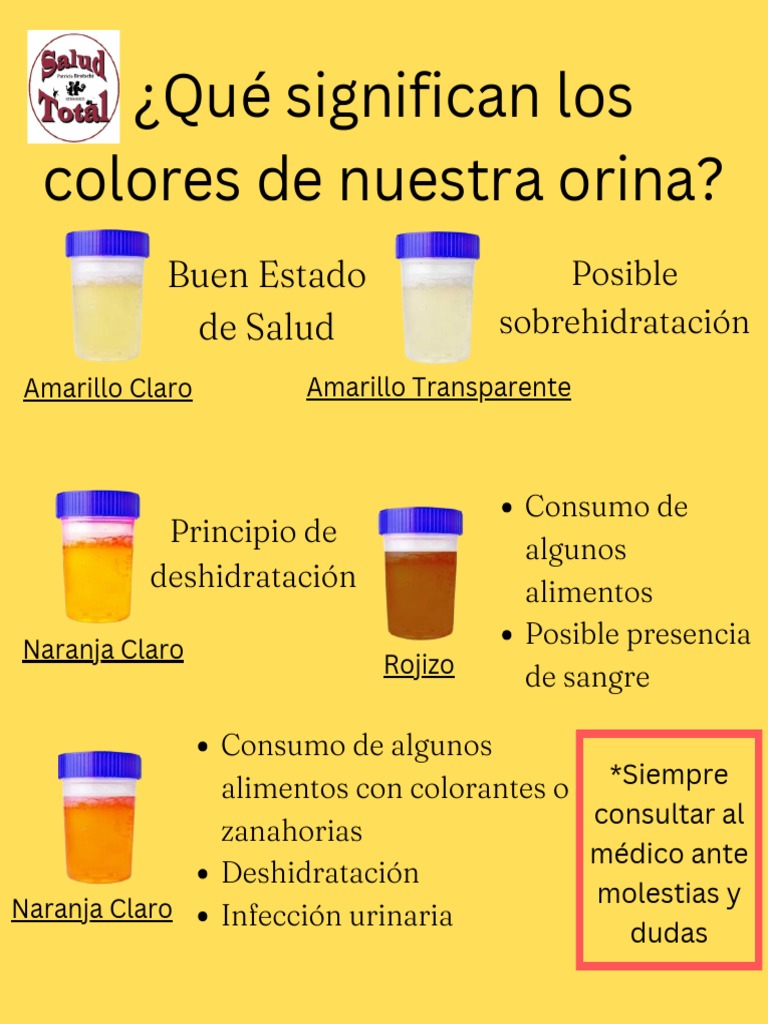 ¿Qué Significan Los Colores de Nuestra Orina | PDF