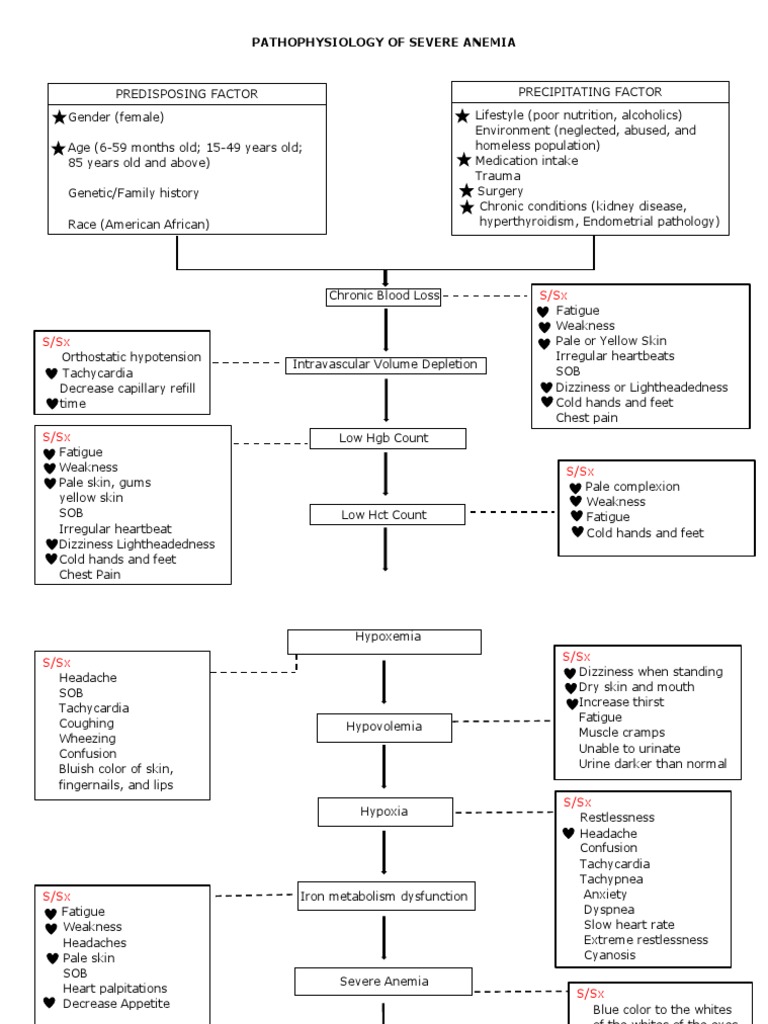 Pathophysiology of Severe Anemia | PDF | Physiology | Medicine