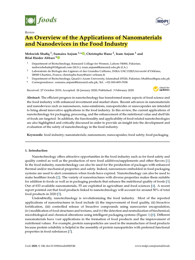 Potential Risks | PDF | Nanotechnology | Nanoparticle