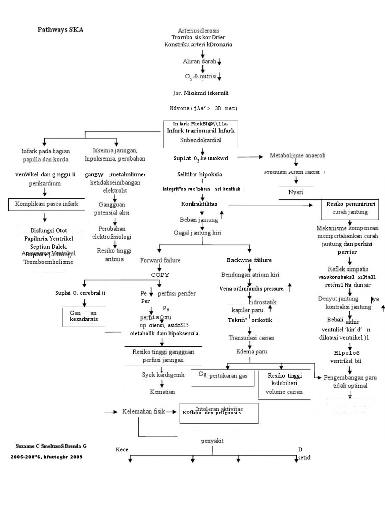 PDF Pathway Ska | PDF