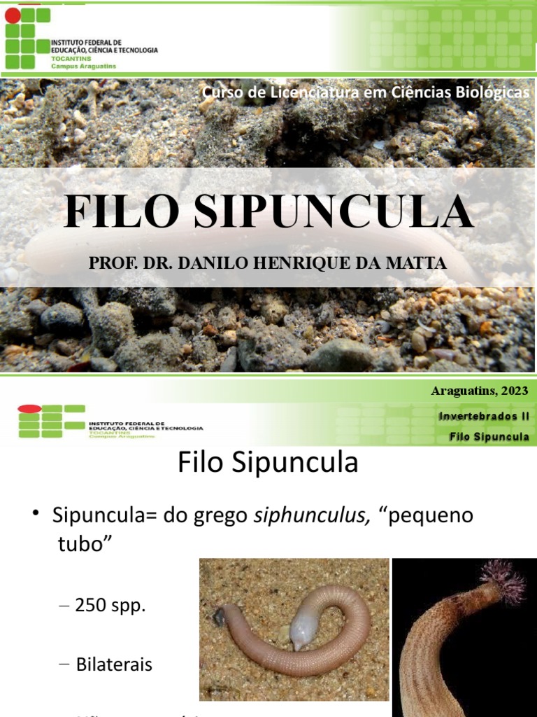 Aula 5 - Filo Sipuncula | PDF | Anatomia | Zoologia