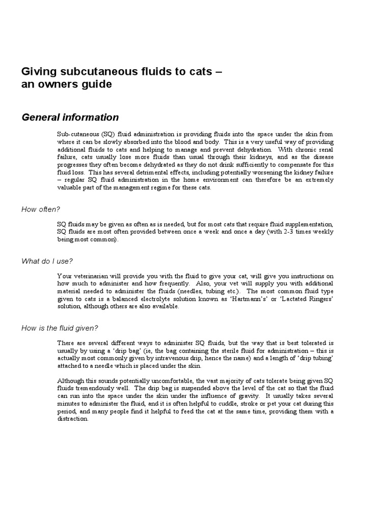 Giving Subcutaneous Fluids To Cats | Download Free PDF | Intravenous ...