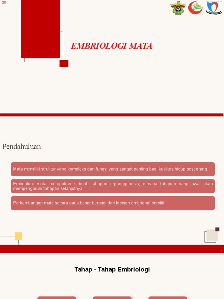 Embriologi Mata | PDF