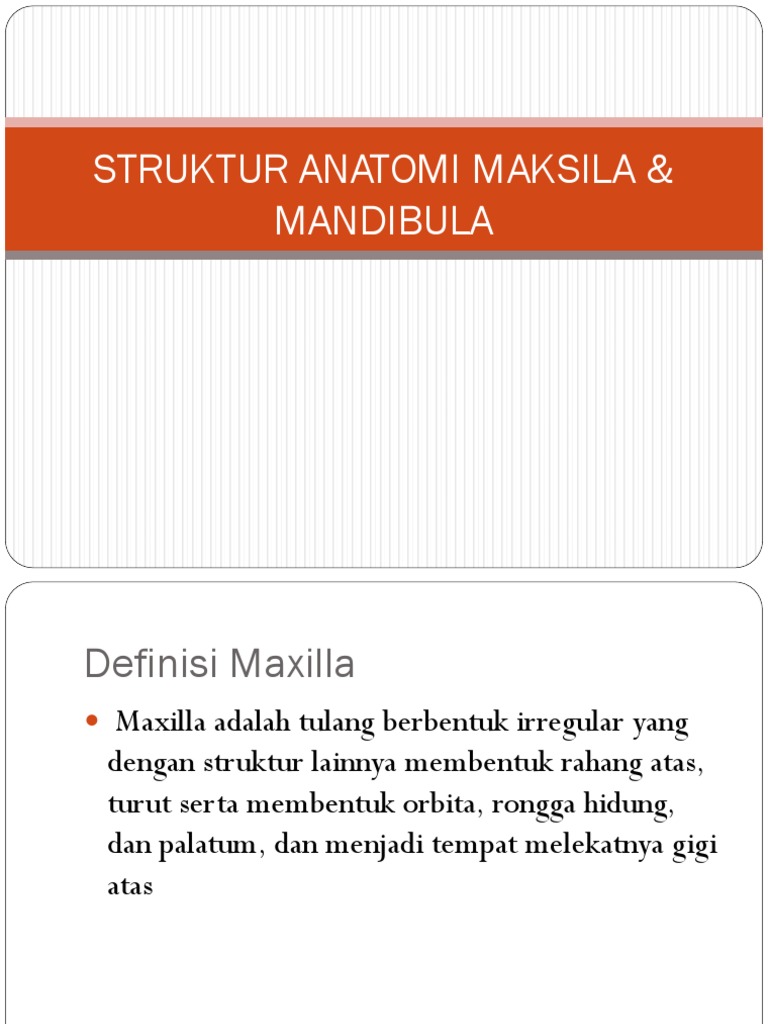 Anatomi dan Fraktur Maksila-Mandibula | PDF
