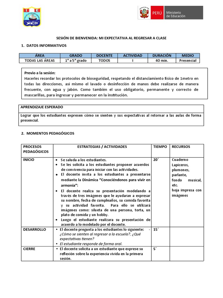 Sesion 1 - Expectativa Ingresar A Clases | PDF | Las emociones ...