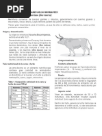 Prueba Pip | PDF | Cognición | Sicología