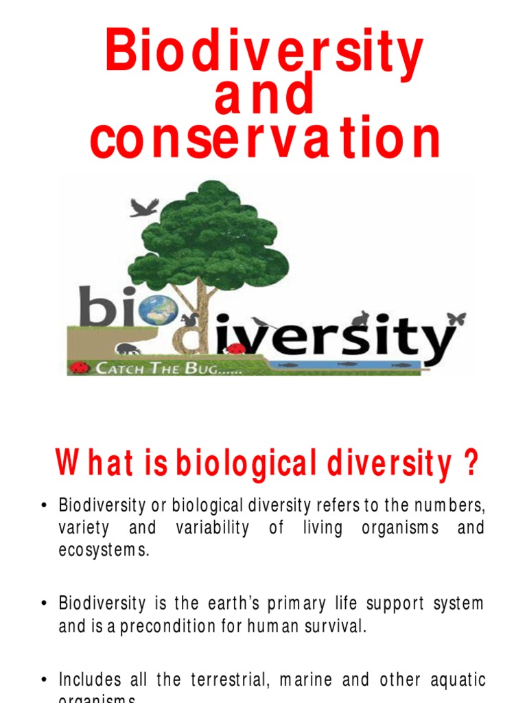 Biodiversity PDF | PDF | Biodiversity | Conservation Biology