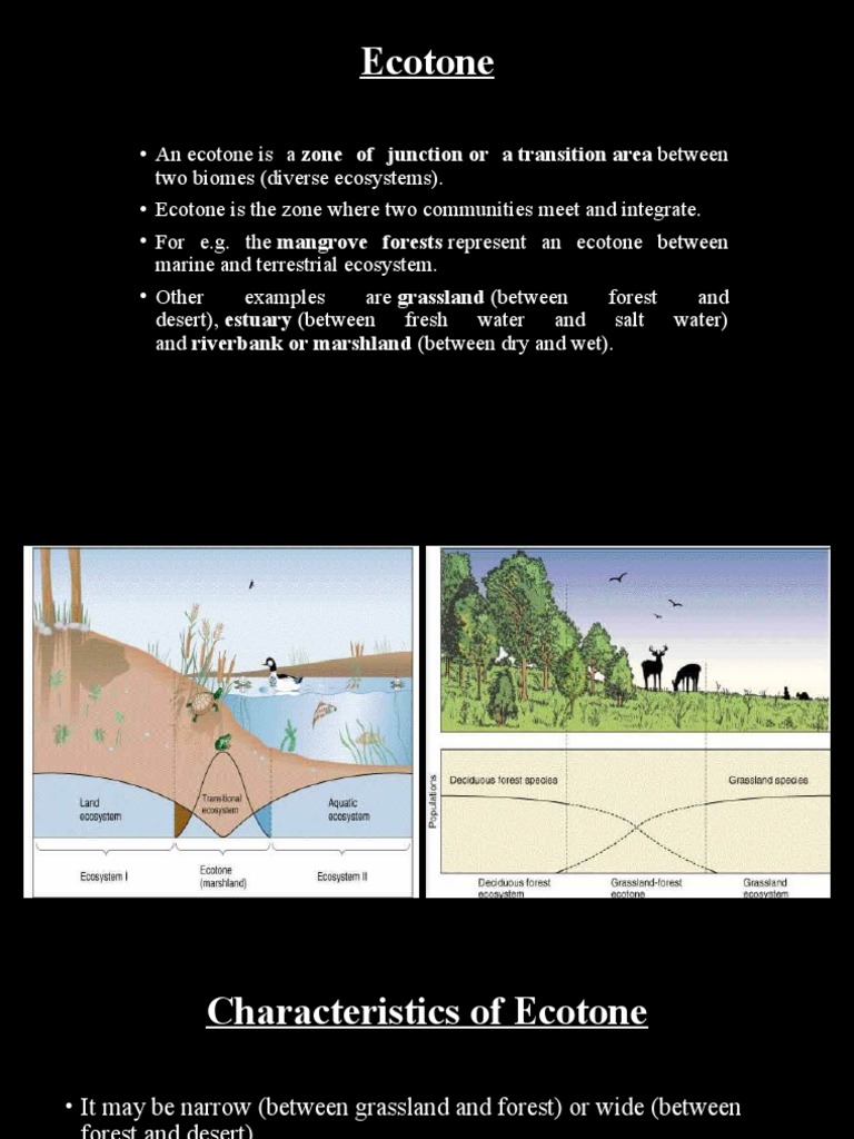 Ecotone | PDF | Ecological Niche | Habitat