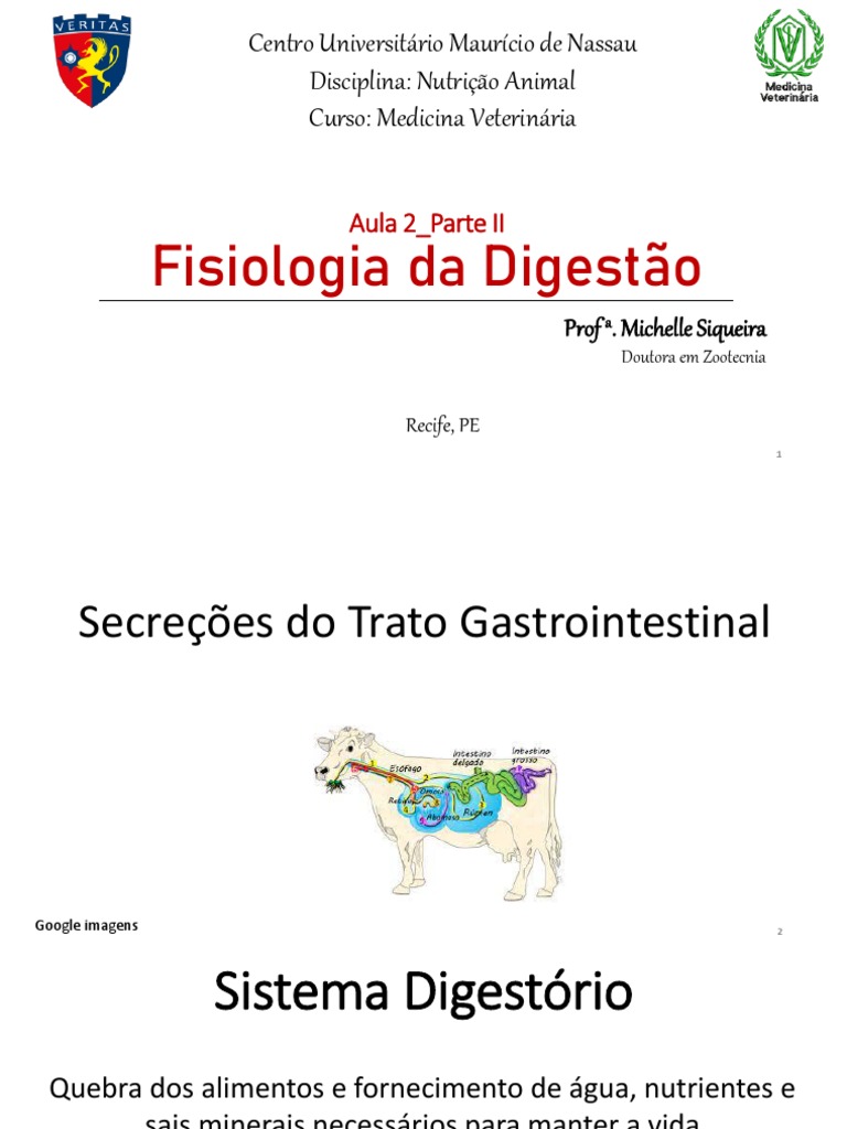 Aula 2 Fisiologia Da Digestão - Parte II - 230214 - 151352 | PDF ...
