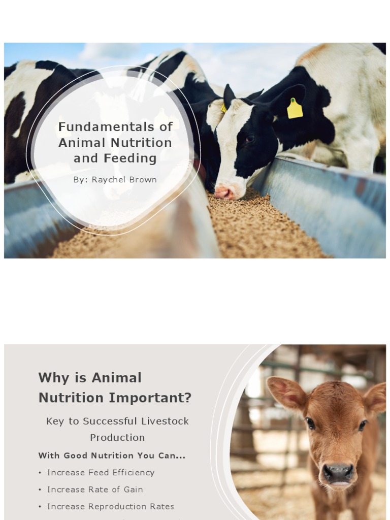 Animal Nutrition - Aged 410 | PDF | Nutrition | Diet & Nutrition