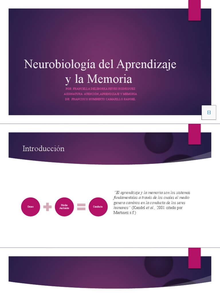 Neurobiología Del Aprendizaje Pdf La Potenciación A Largo Plazo