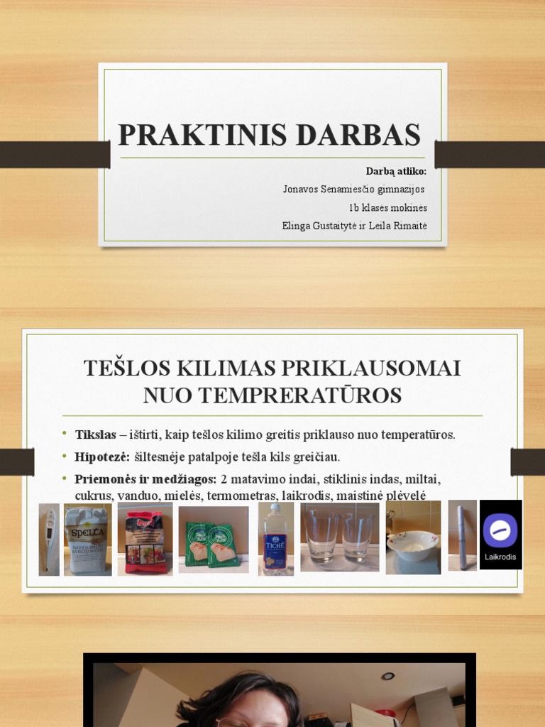 Projektinis Darbas | PDF