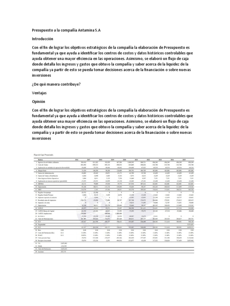 Presupuesto y Flujo de Caja en Antamina | PDF | Crecimiento personal y ...