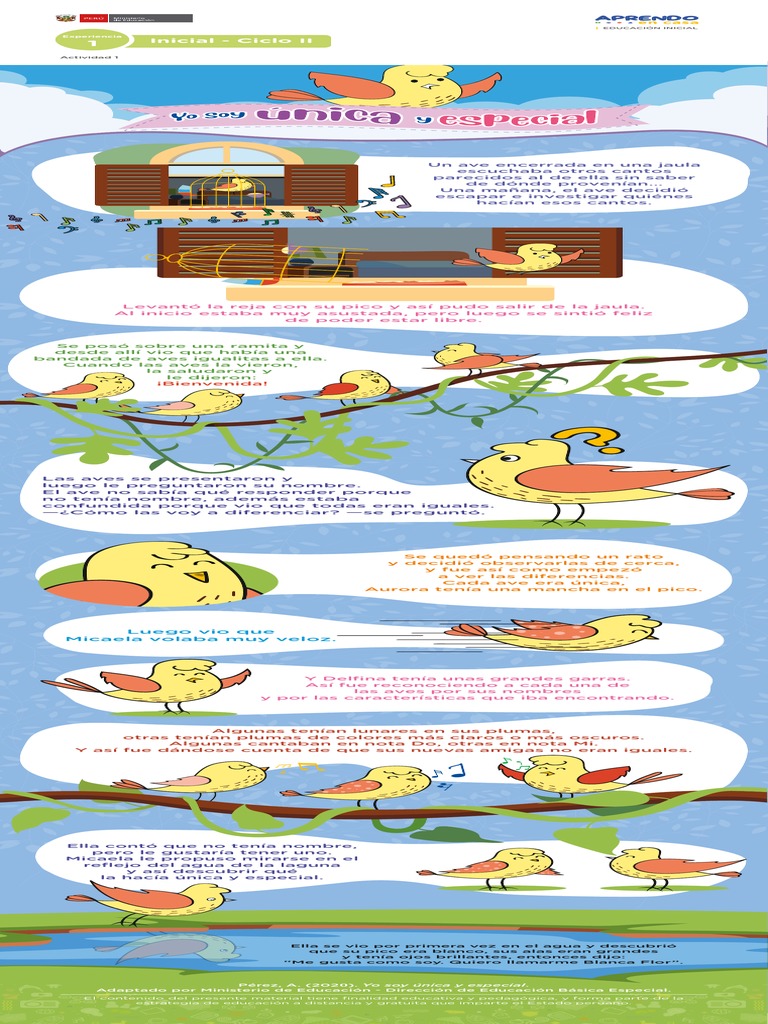Cuento Soy Unico Y Especial Pdf Aves