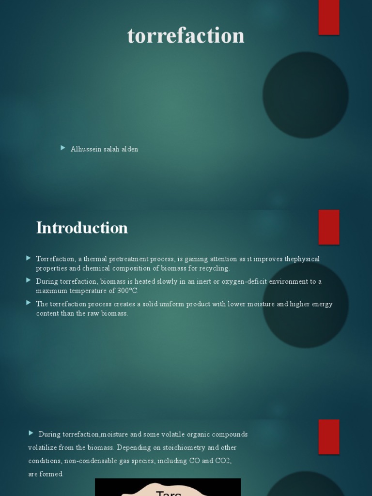 An In-Depth Review of Torrefaction Technologies: Reactor Types ...