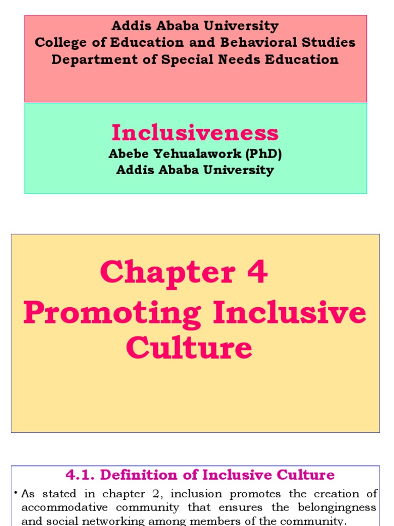 Chapter 4 - FINAL Promoting Inclusive Culture | PDF | Community ...