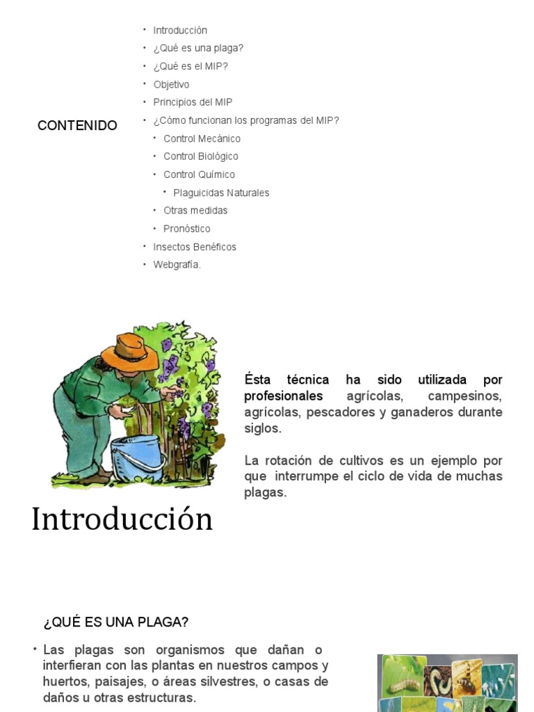 Clase 6 Mip | PDF | Pesticida | Control biológico de plagas
