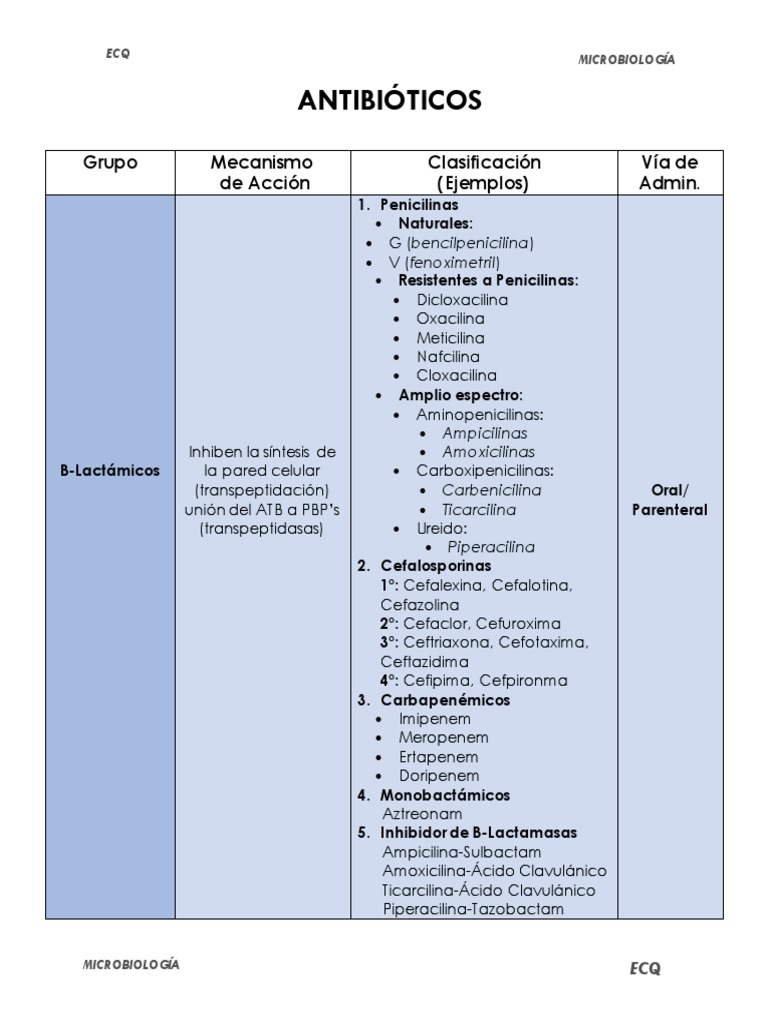 Clasificación Antibióticos Tabla PDF | Descargar gratis PDF | Penicilina | Antibióticos