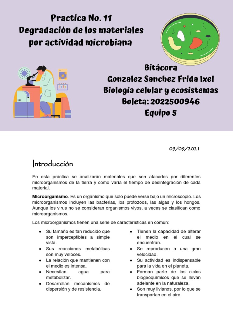 Bitacora 11 | PDF | Microorganismo | Descomposición