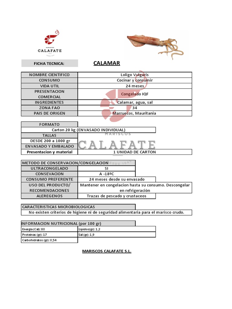 Ficha Tecnica Calamar | PDF