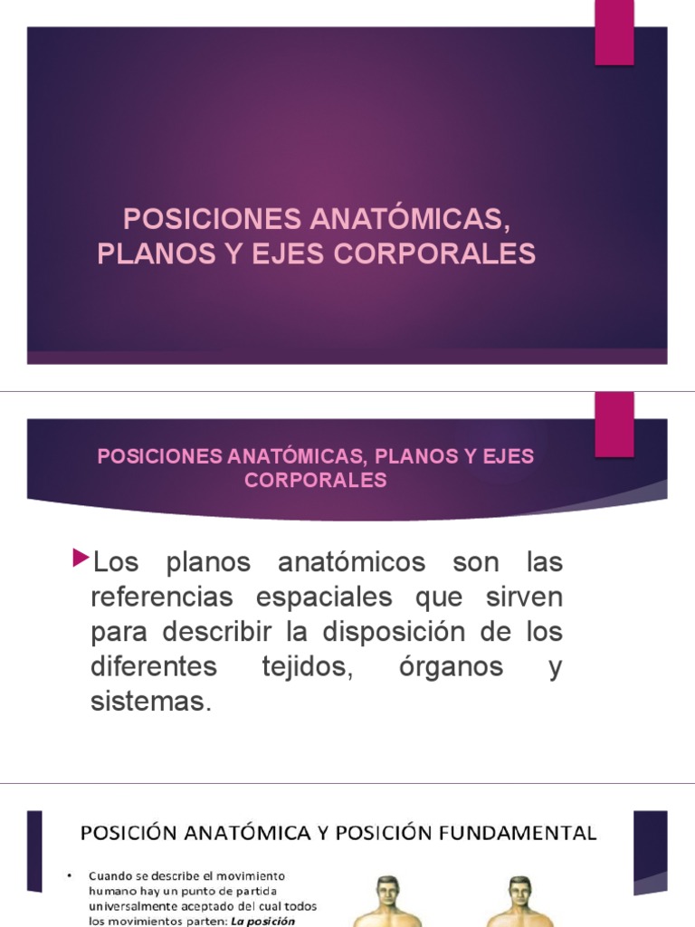Posiciones Anatómicas, Planos Y Ejes Corporales | PDF