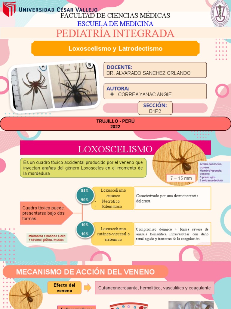 Loxoscelismo y Latrodectismo | PDF | Enfermedades y trastornos | Causas ...