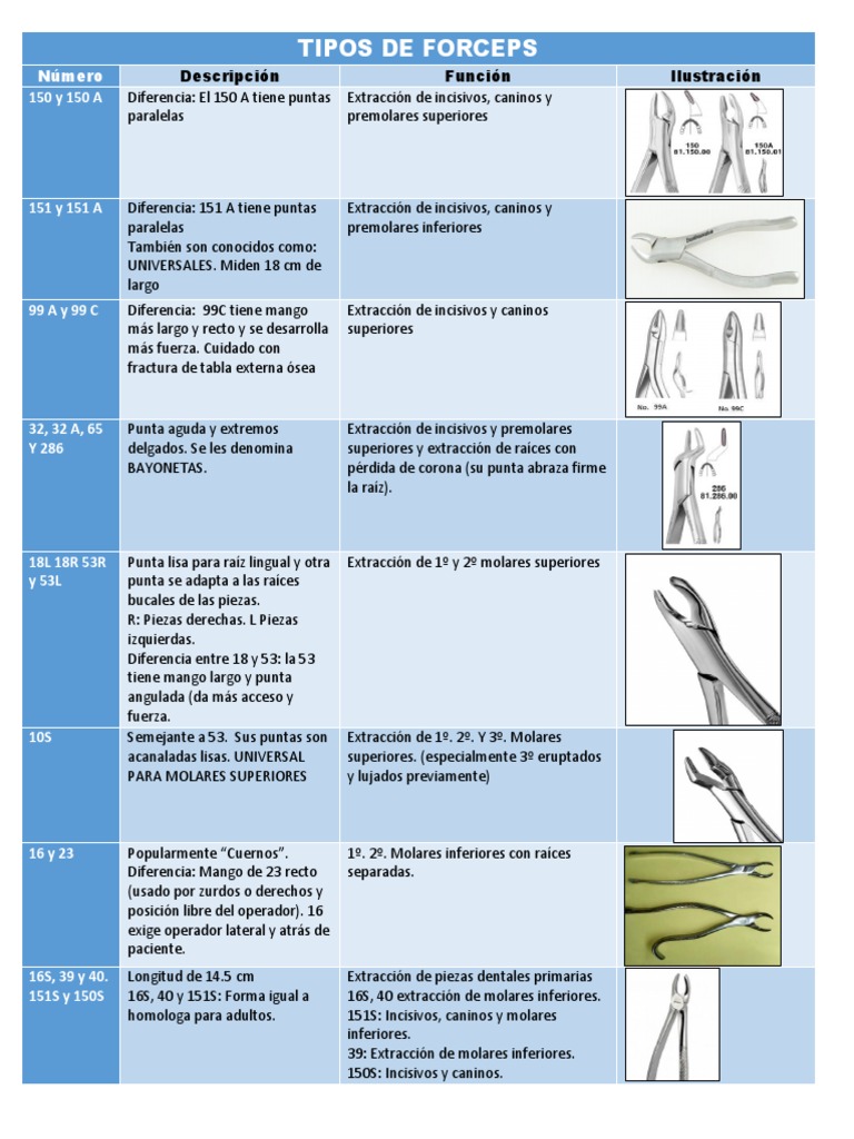 Tipos de Forceps y Elevadores | PDF | Odontología | Boca