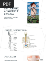 CAPÍTULO 17 - Prurigo Por Insectos (Cimiciasis) | PDF | Insecticida ...