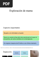 Tipos de Himen: Clasificación y Detalles | PDF