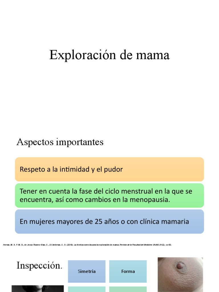 Exploración de Mama | PDF | Cáncer de mama | Pecho