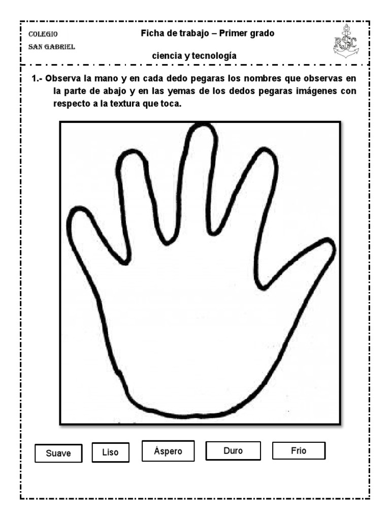 Ficha Del Sentido Del Tacto C y T | PDF