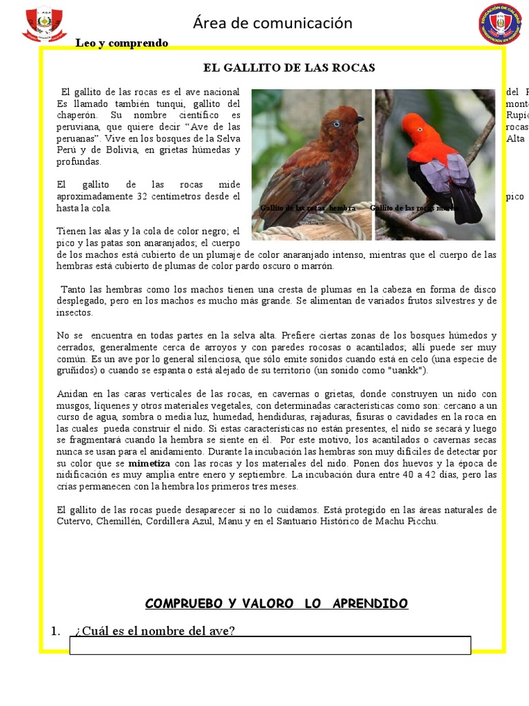 COmprension de Textos El Gallito de Las Rocas. | PDF | Aves | Ornitología