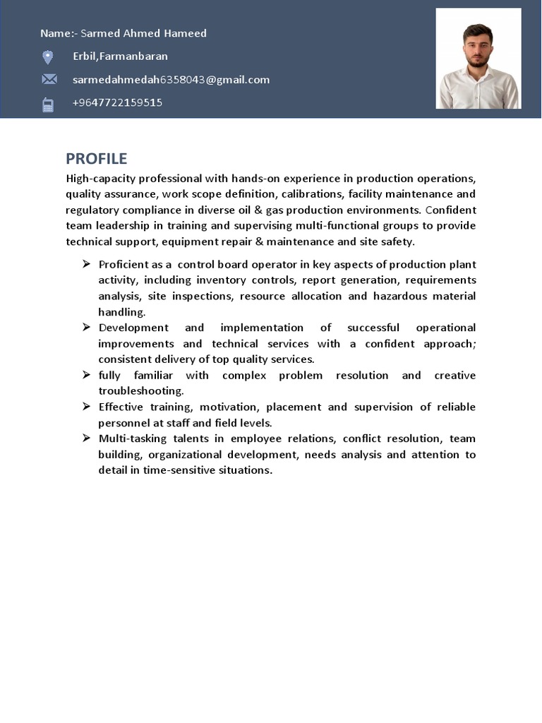 Sarmed Ahmed CV | PDF | Fluency