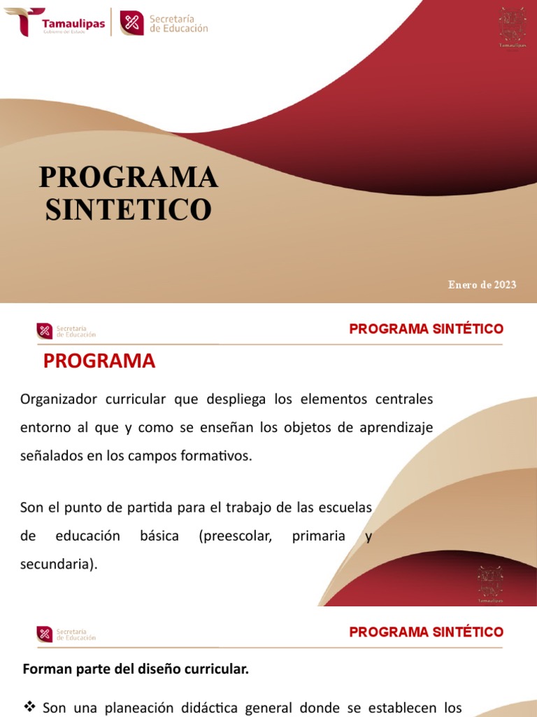 Programa Sintetico | PDF