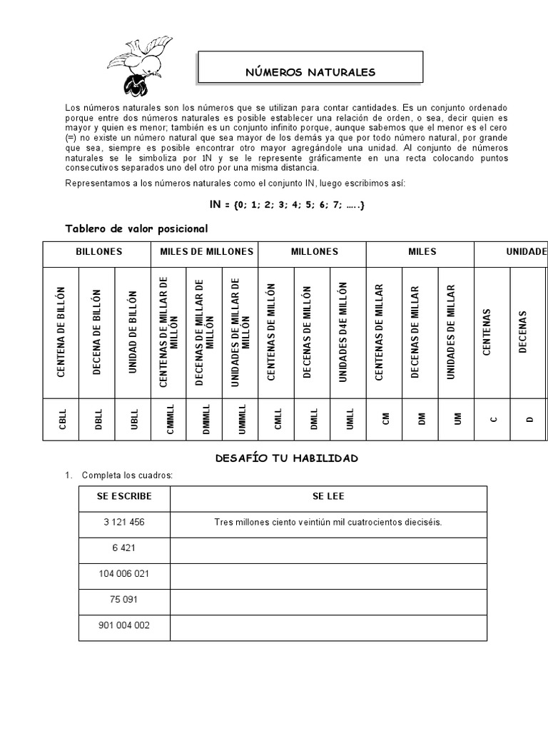 Números Naturales y Actividades Bimestrales | PDF | Número natural ...