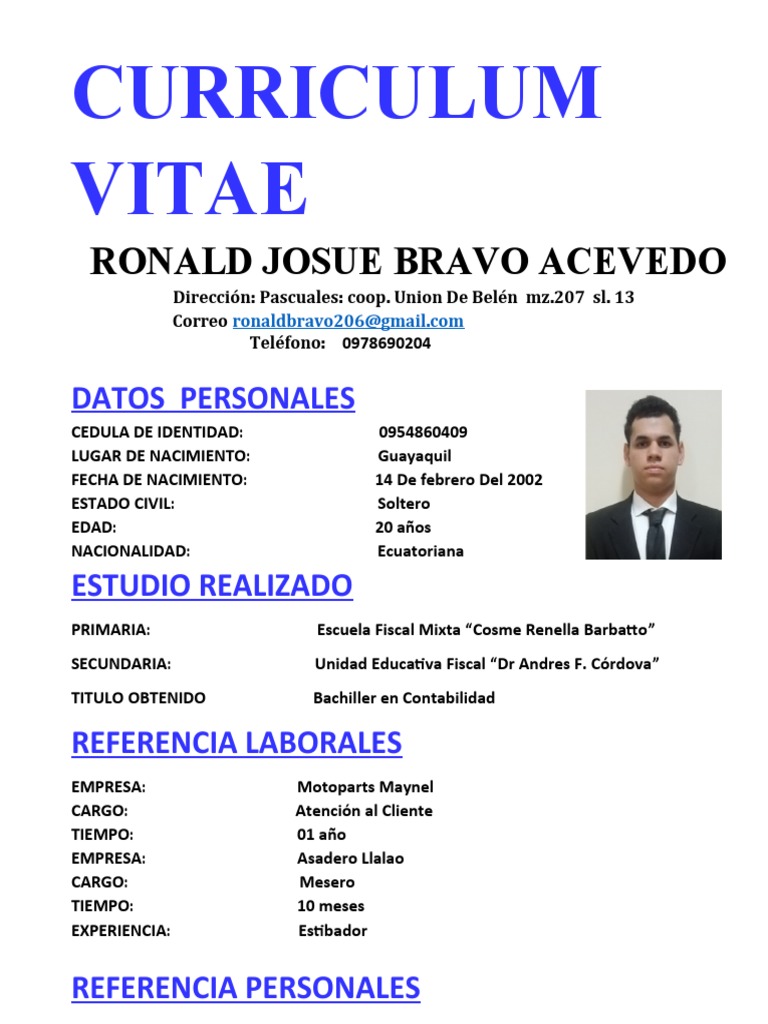 Copia de CURRICULUM VITAE | PDF